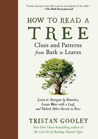 EXPERIMENT How to Read a Tree: Clues and Patterns from Bark to Leaves ...