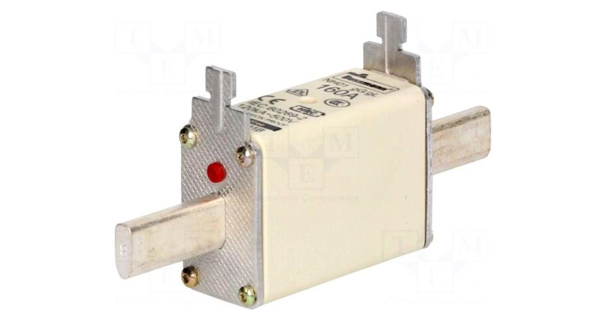 EATON/Bussmann Fuse: fuse | gG,gL | 160A | 500VAC | 250VDC | ceramic ...