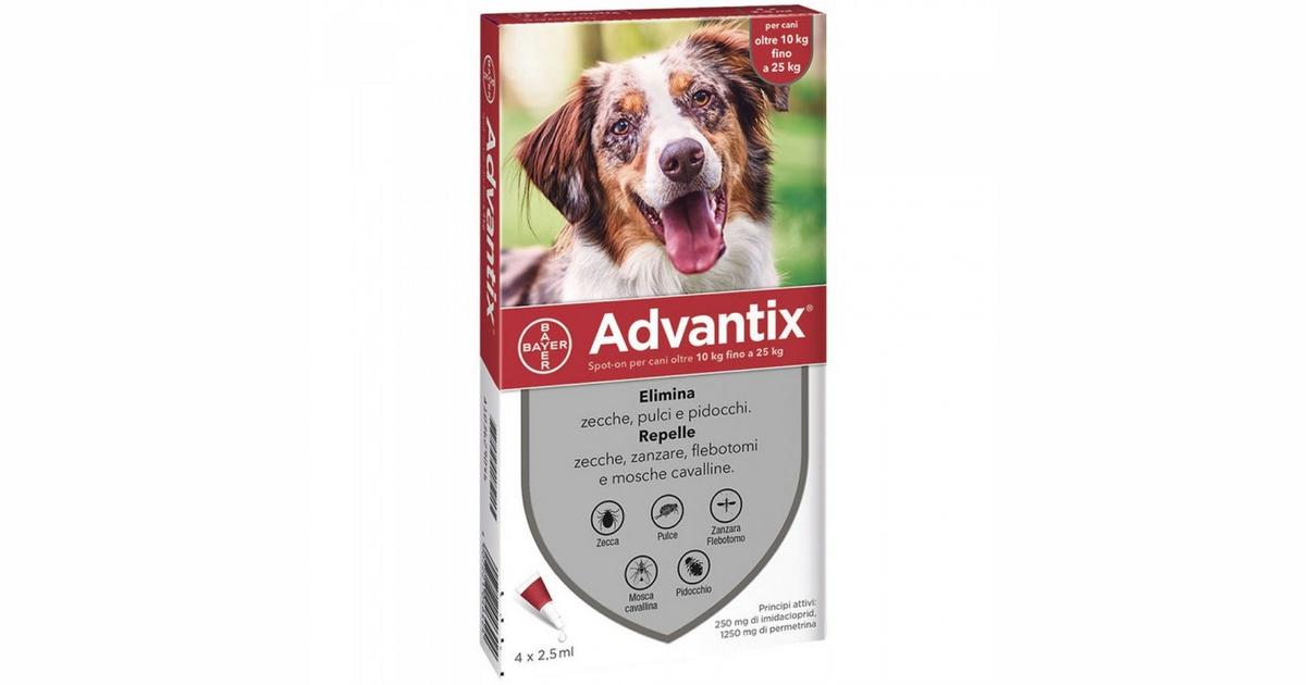 ADVANTIX rakenduslahendus kirbude ja puugi koertele 10-25 kg, 4 tk ...