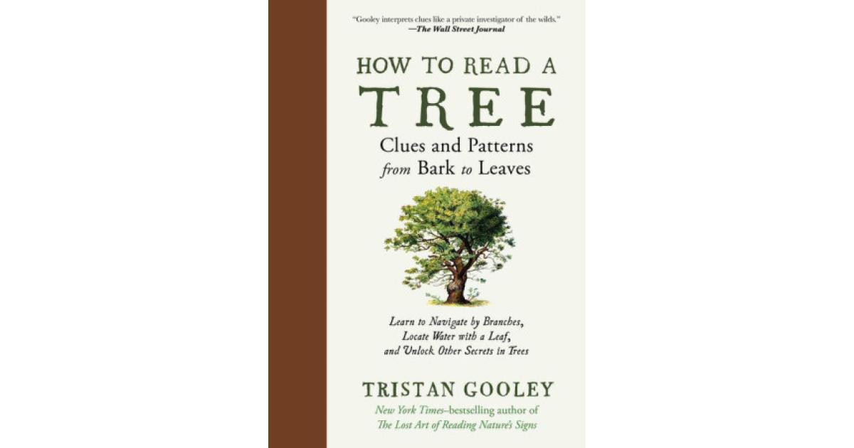EXPERIMENT How to Read a Tree: Clues and Patterns from Bark to Leaves ...