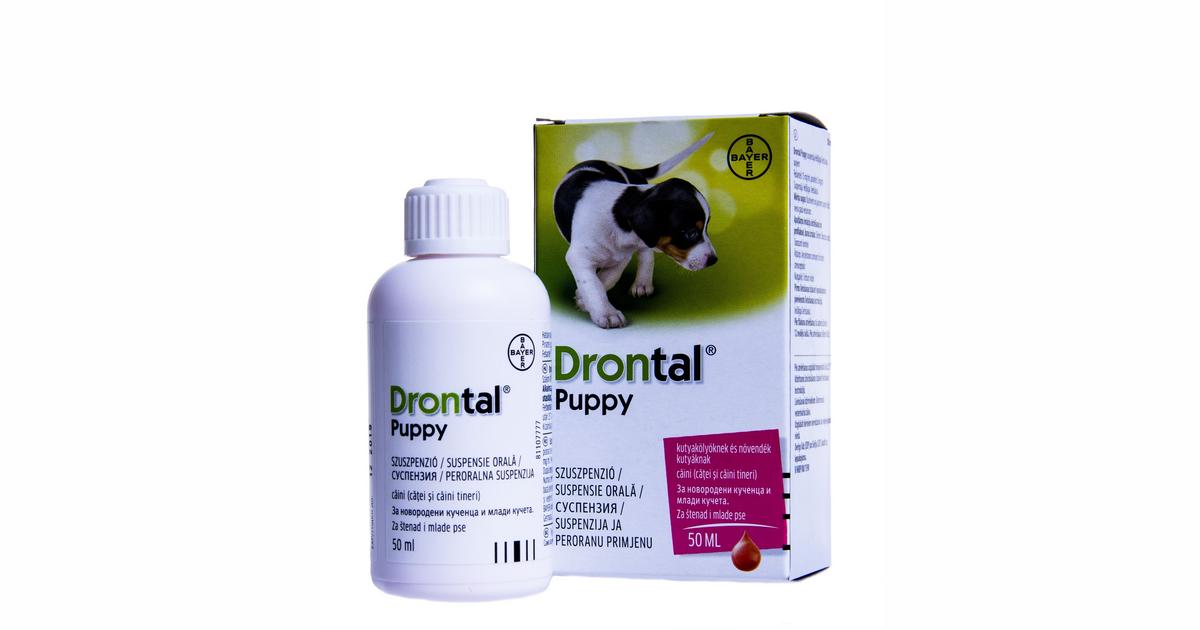 DRONTAL PUPPY SUUKAUDNE SUSPENSIOON ENSOON 15MG+5MG 1ML 50ML N1 ...
