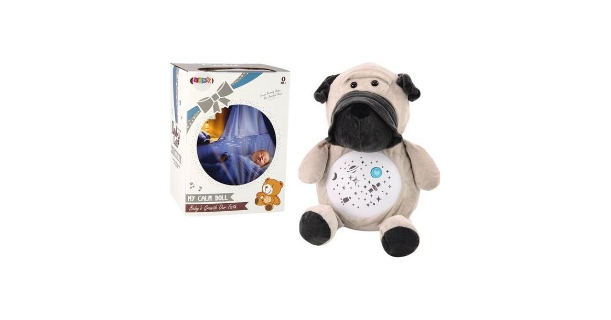 Lean Toys Teddy Bear Sleeping Lights Sounds Night and Day Mode Dog ...